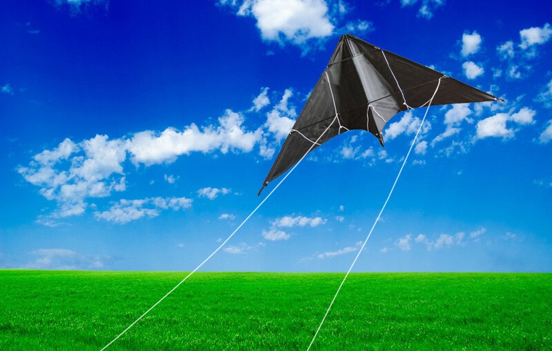 47Inch Black Dual Line Stunt Kite With Handle And ... – Grandado
