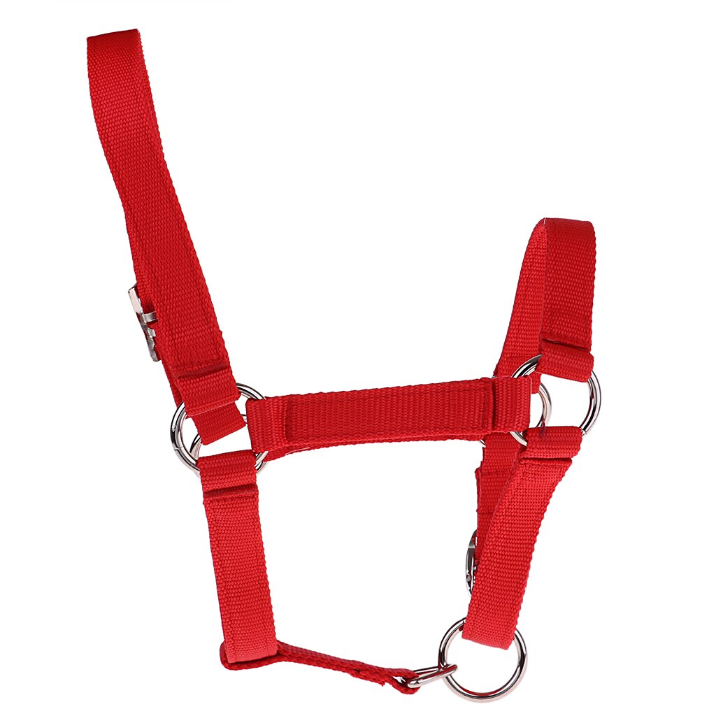 Adjustable Nylon Webbing Equestrian Western Horse ... – Vicedeal
