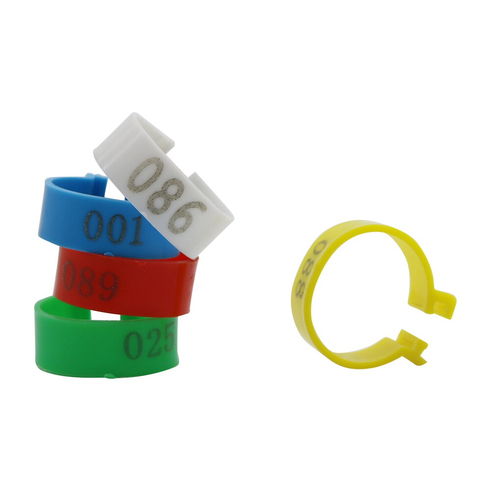 Pluimvee Been Kuiken Eend Gans Animal Identificati... – Vicedeal