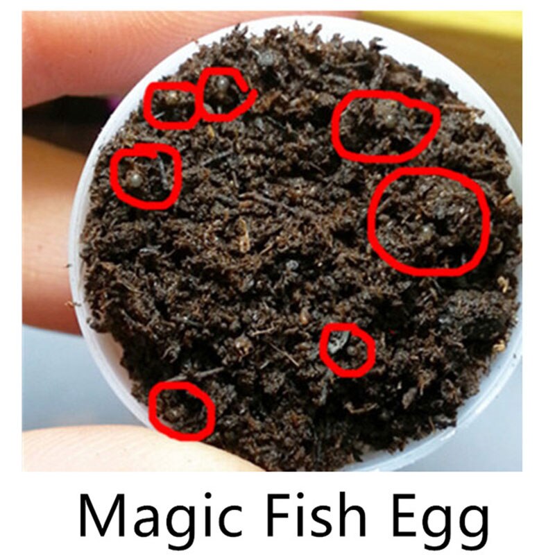 Magic Water+Soil=Killifish Caviar Egg Killi Fish T... – Grandado