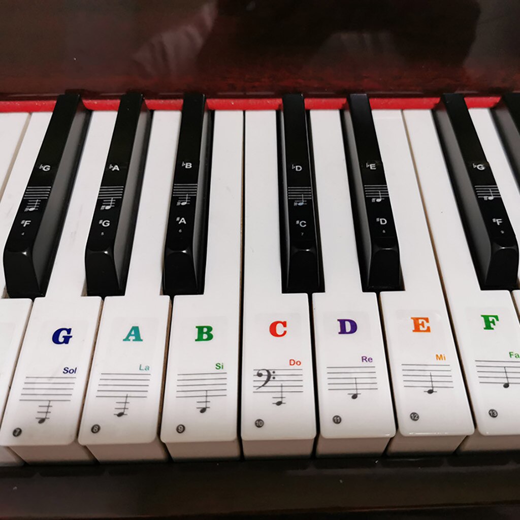 Universal Piano Learner Sticker Music Piano 88/61/... – Vicedeal