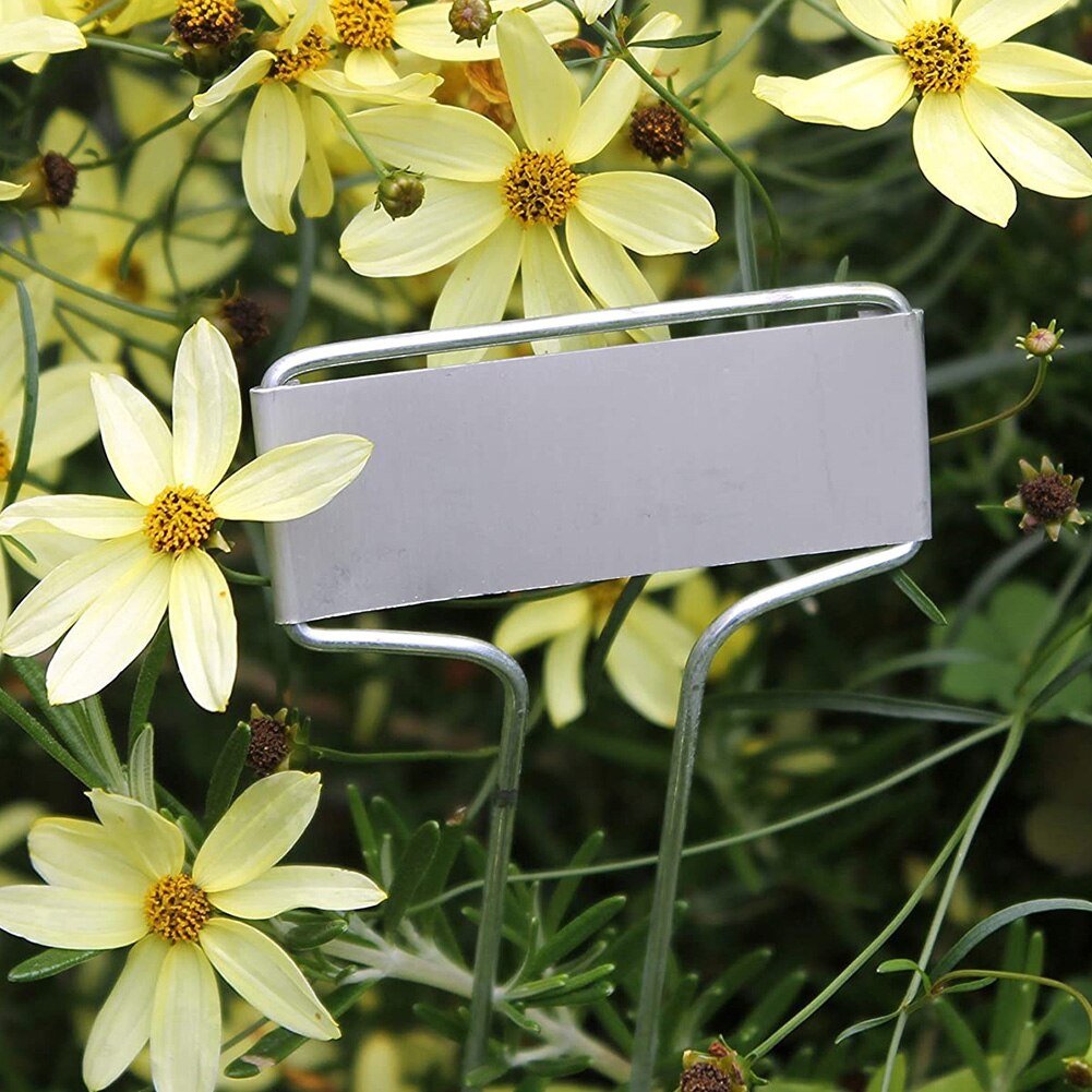 20pcs Nursery Classification Sign Garden Markers W... – Vicedeal