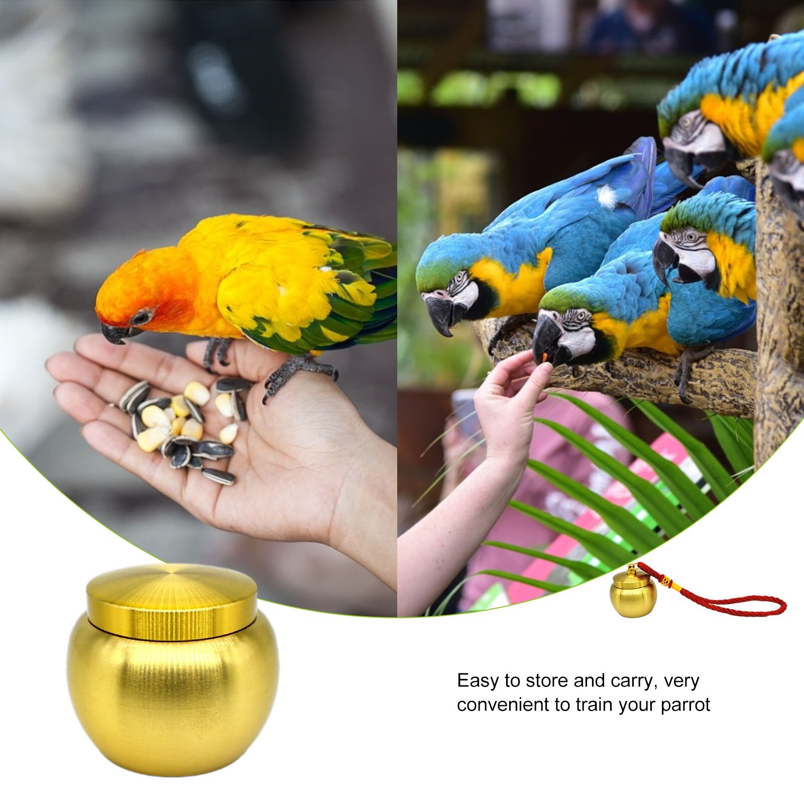 Bird Training Tank Parrot Training Supplies Pure C... – Grandado