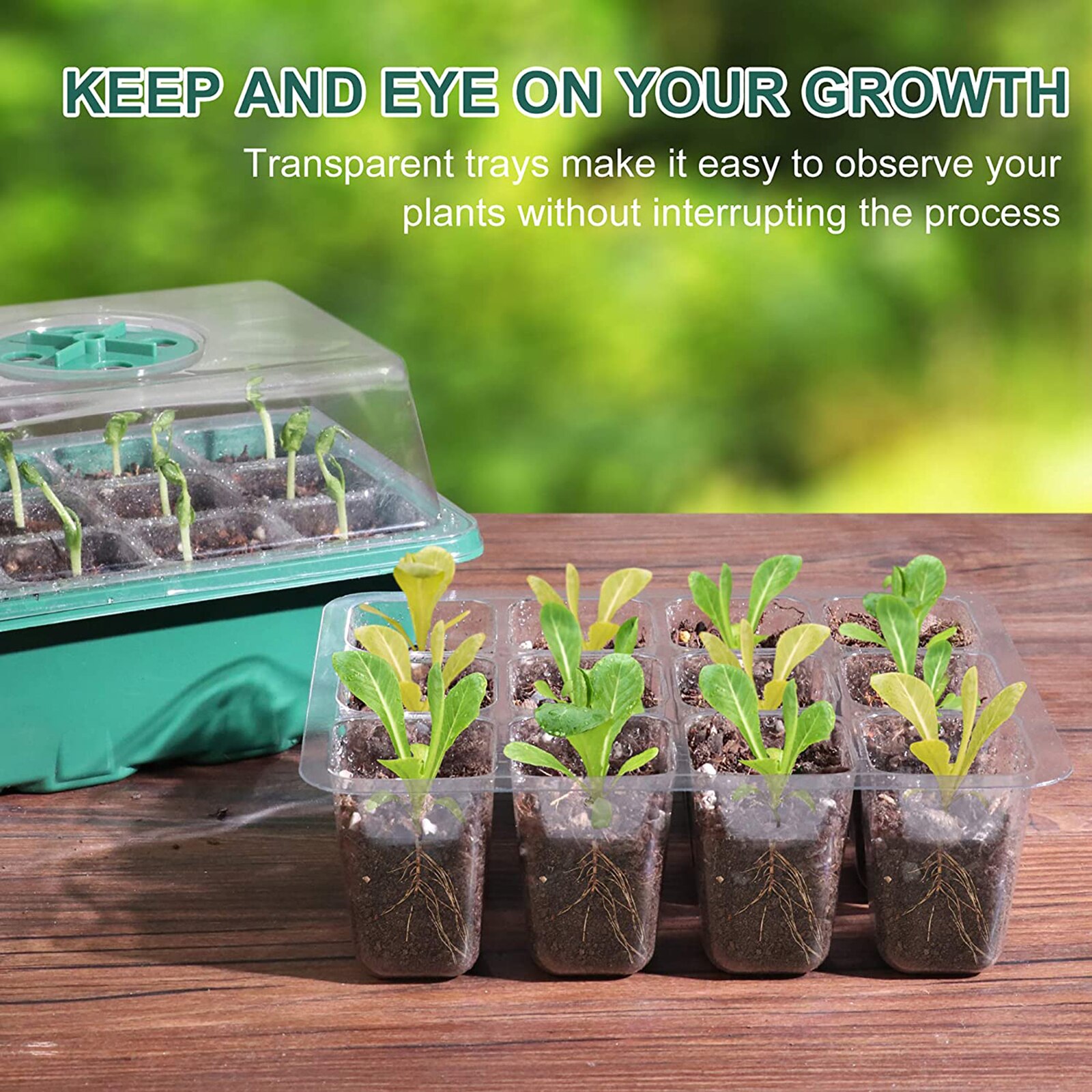 10 Pack Seed Starting Trays 12 Cells Insert House ... – Grandado