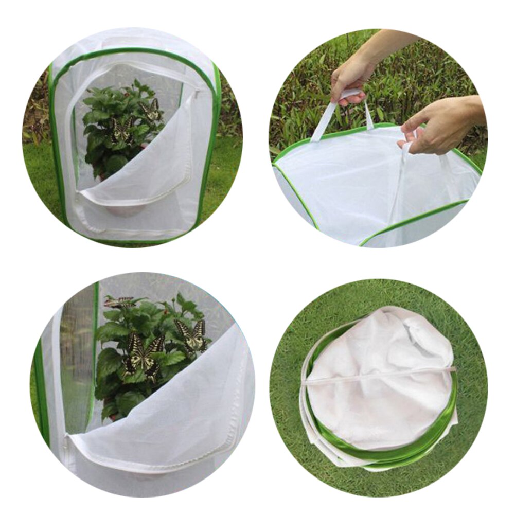 Folding Insect Mesh Cage Butterfly Dragonfly Breat... – Grandado