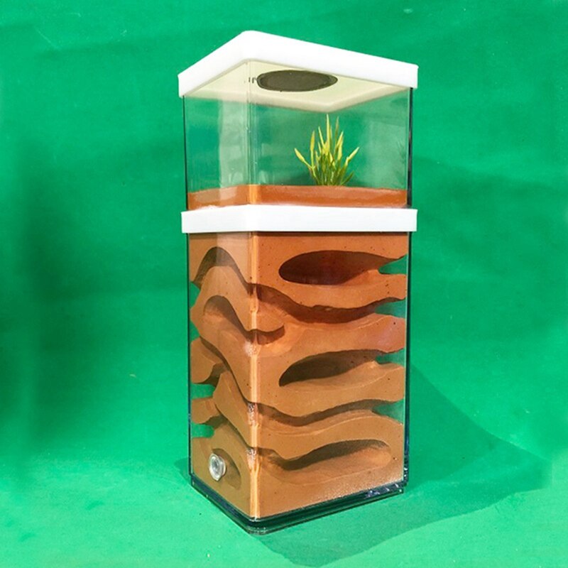 Ant Farm High Moisture Insect Hotel Castle Ecologi... – Grandado