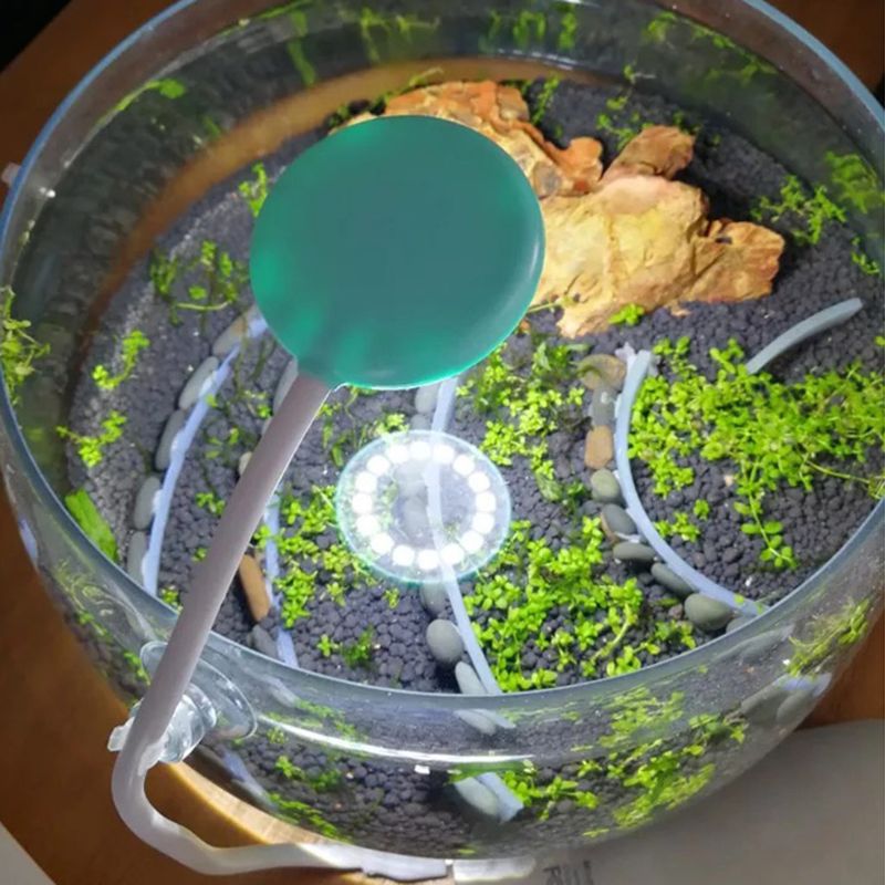 Mini LED aquarium light aquarium plants for water ... – Grandado