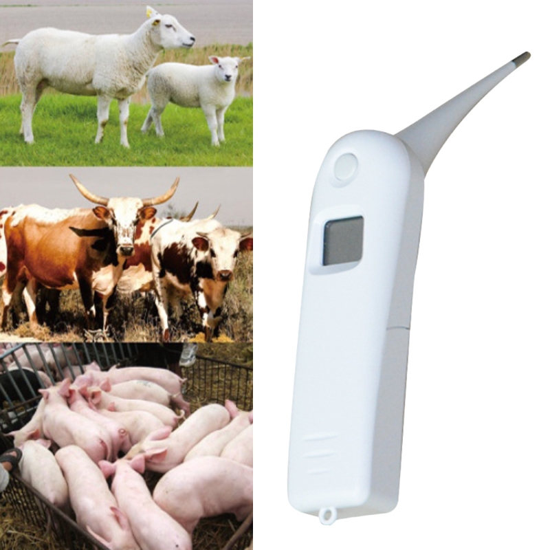 Veterinary Thermometer Fast Accurate Temps for Cow... – Grandado