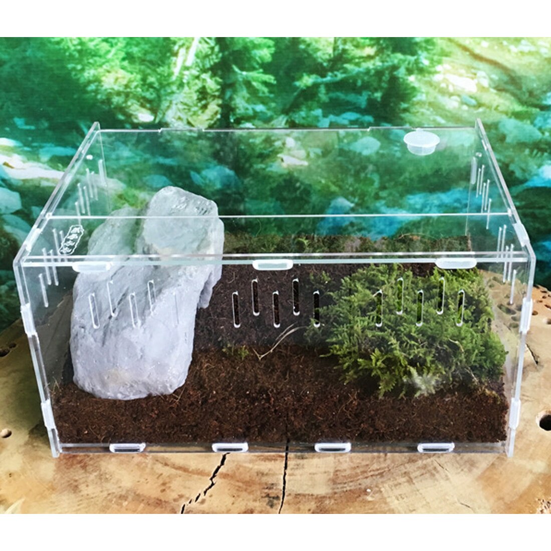 PETFORU Acrylic Reptile Feeding Box Crawler Pets F... – Grandado