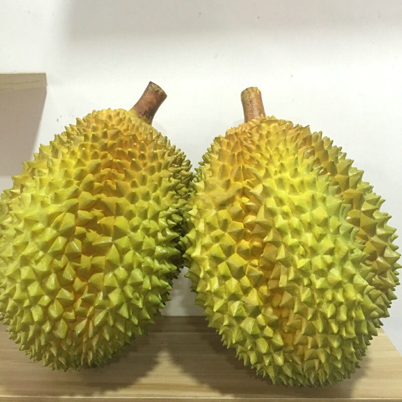 1pcs Artificial Fruits Durian Model Simulation Foo... – Grandado