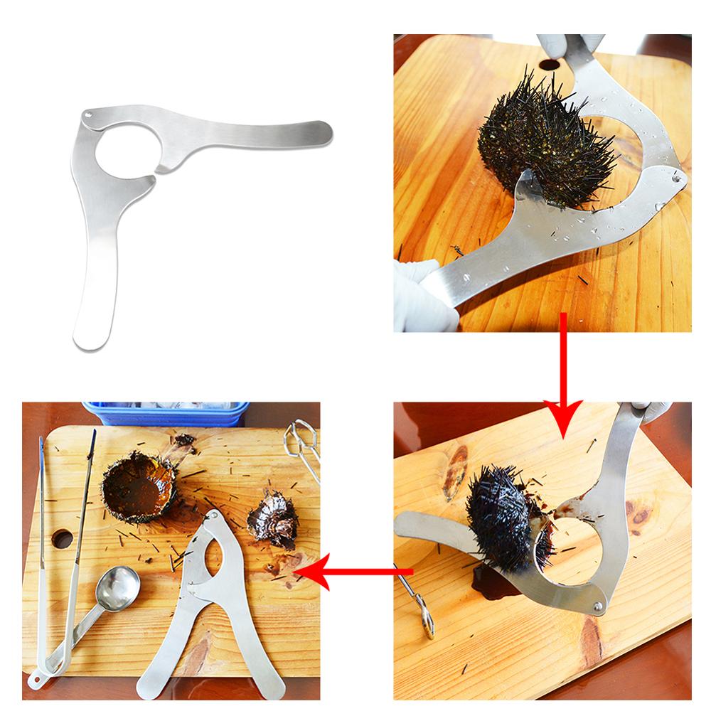 Stainless Steel Sea Urchin Opener Scissors Echinus... – Vicedeal