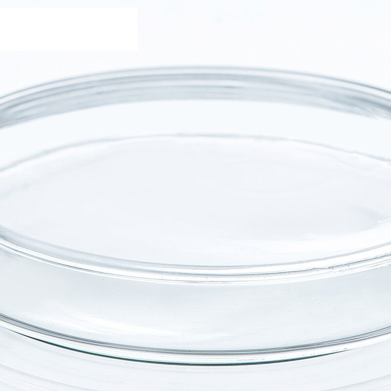 Borosilicate Glass Petri Dishes Bacteria Petri Dis... – Vicedeal