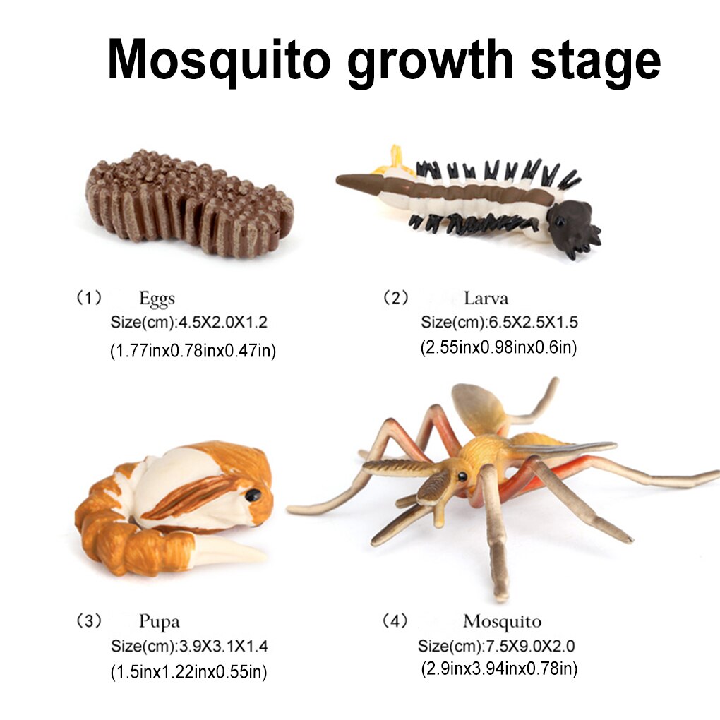 Mosquito Models Kit Simple Small Animal Model Inte... – Vicedeal