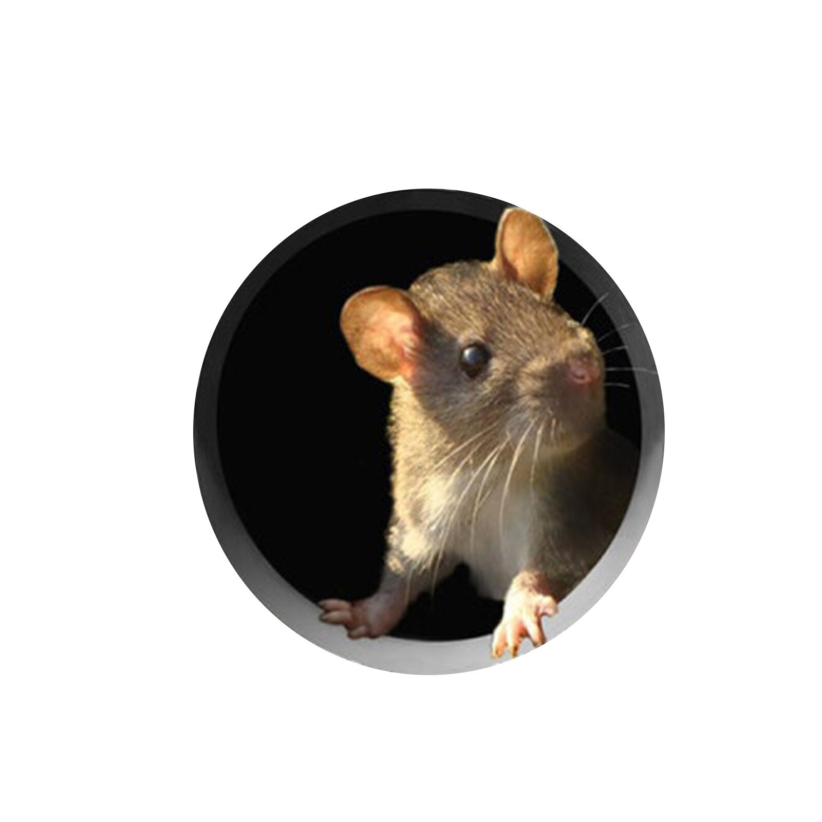 Spoof Muur Plakken Muis Gat 3D Dier Muur, Plakken ... – Grandado