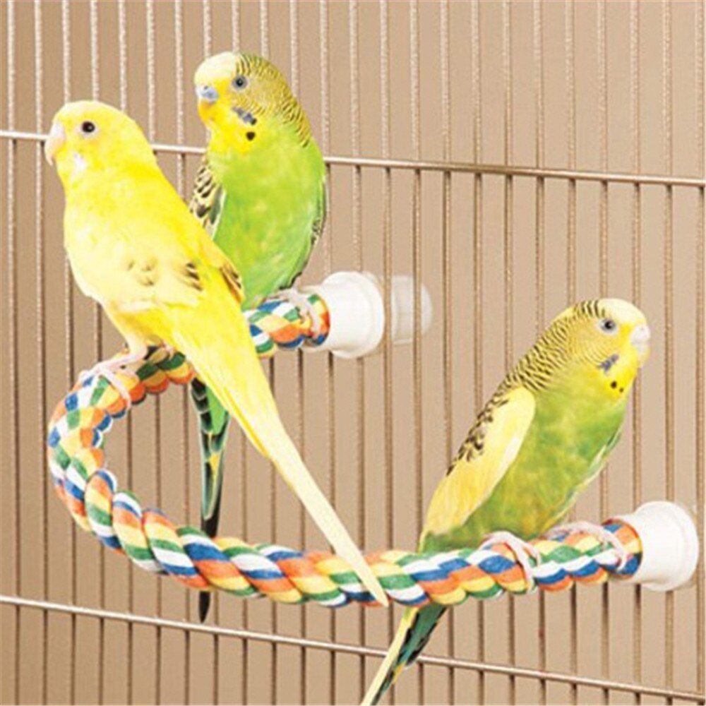105/80/55/30cm Colorful Parrot Rope Hanging Braide... – Vicedeal