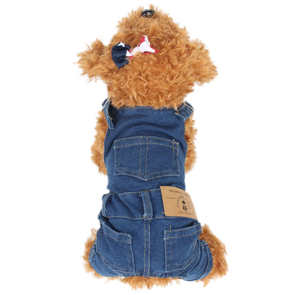 Cats Clothes Kitten Costume And cat Clothing For P... – Grandado