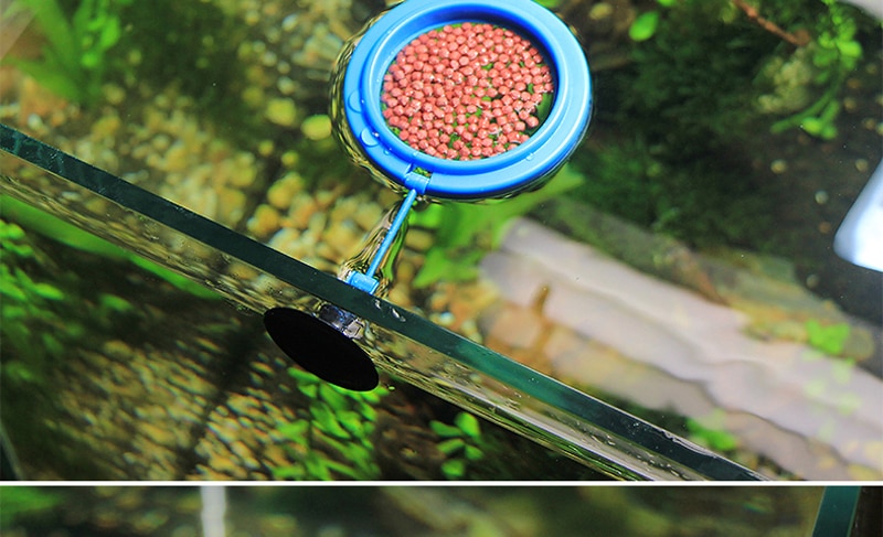 Aquarium Feeding Ring Fish Tank Station Floating F... – Grandado