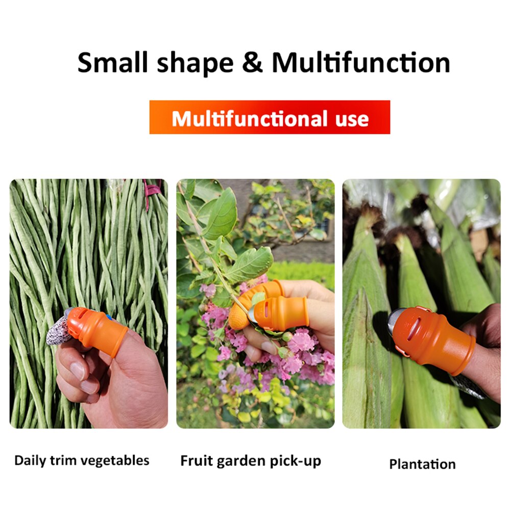 2pcs Fruit Vegetable Picker Kitchen Cutter Pro Pra... – Grandado