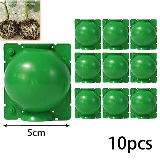 10Pcs/Set 5/8cm Green Grafting Box Plant Rooting E... – Grandado