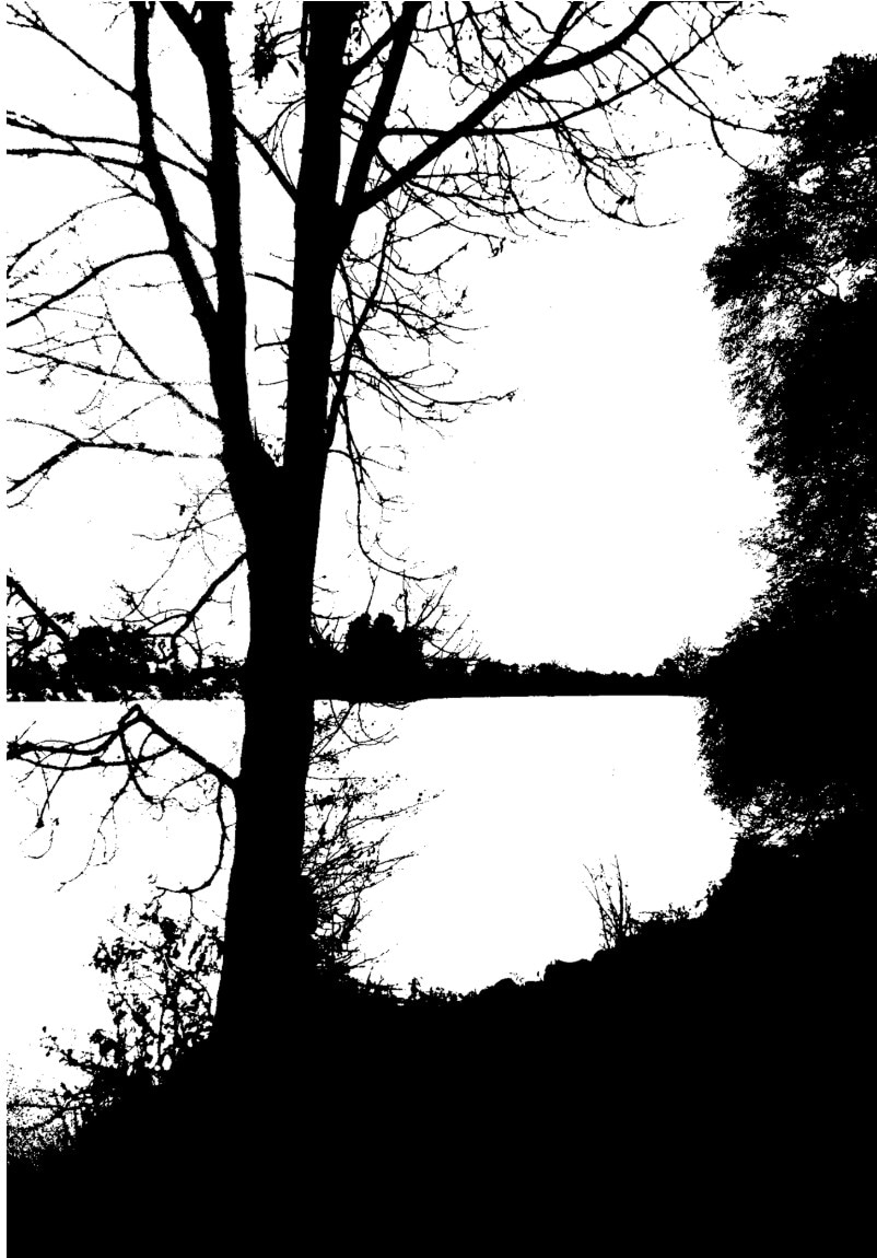 11x16 A big tree Transparent Clear Stamps for Scra... – Grandado