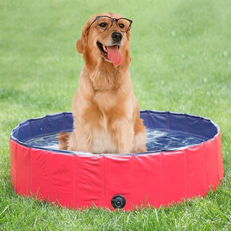 Dog Pool Foldable Dog Swimming Pool Pet Bath Swimm... – Grandado