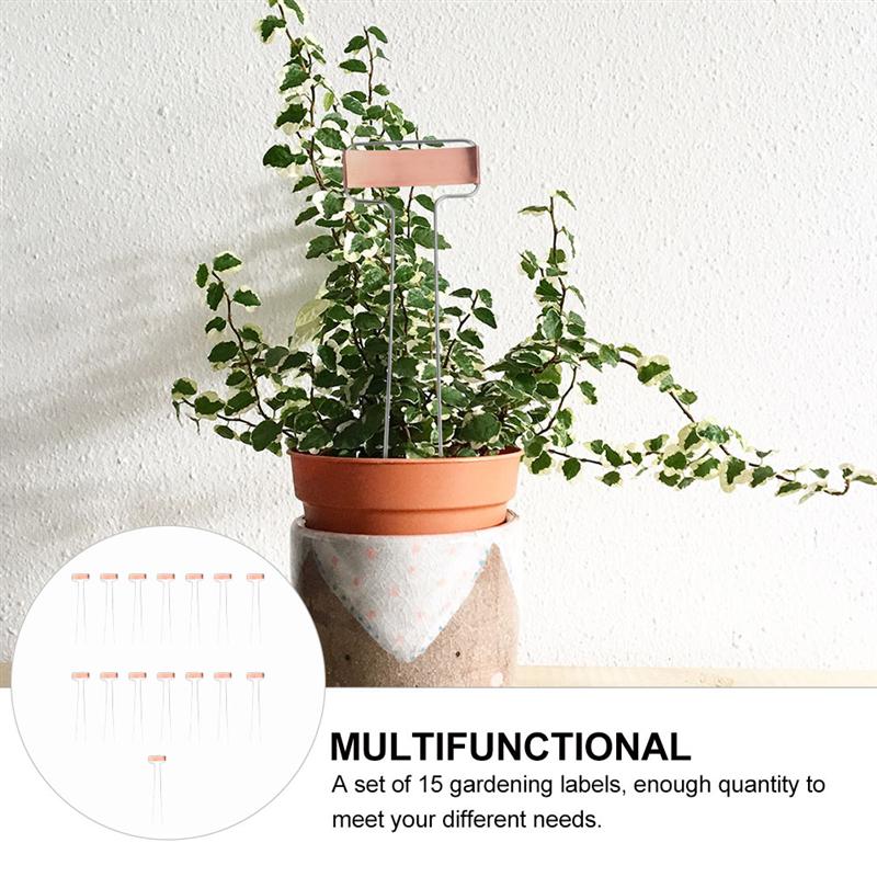 Plant Labels Mooie Chic Veilig Fijne Insert Kaarte... – Grandado