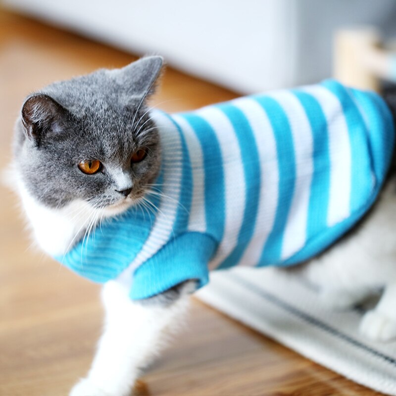 Cat Clothes Cute Pet Kittens Blue Cat Kittens Shor... – Vicedeal