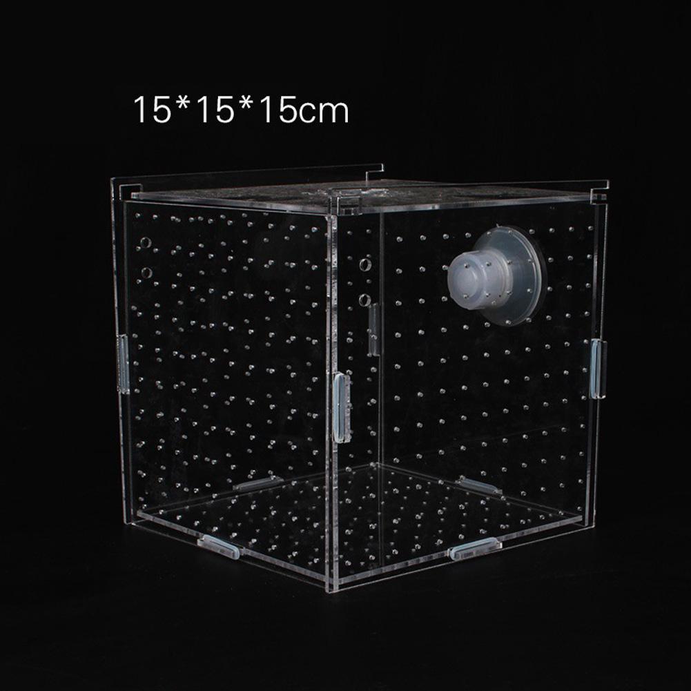 Single Grid Breeding Box Incubator Isolation Hairt... – Vicedeal