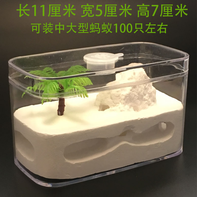 Pet Ant Living Gypsum Nest Ant Castle Ant Workshop... – Vicedeal Pet Ant Living Gypsum Nest Ant Castle Ant Workshop... – Vicedeal
