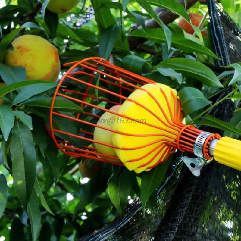 Stainless Steel Deep Fruit Picker Basket Basket Co... – Grandado