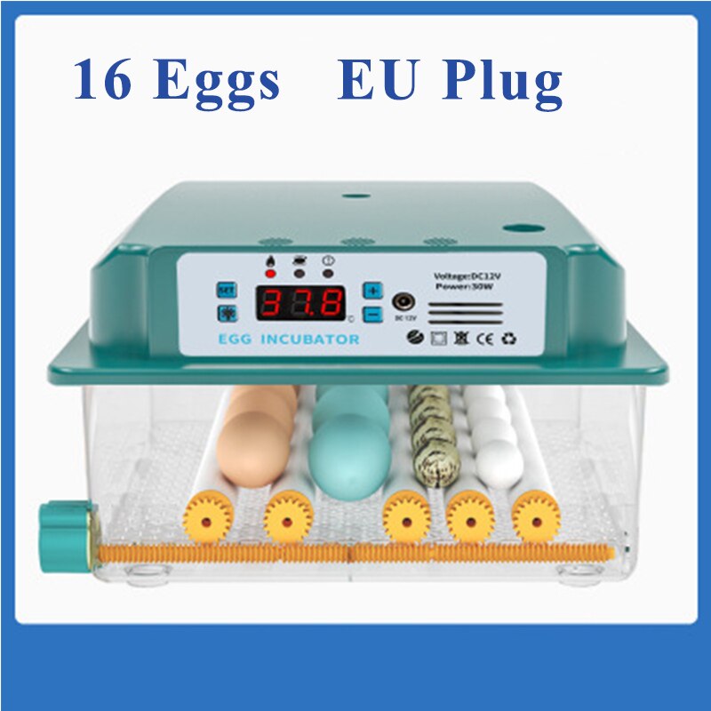 16 Eggs Fully Automatic Incubator 110V/220V Digita... – Grandado
