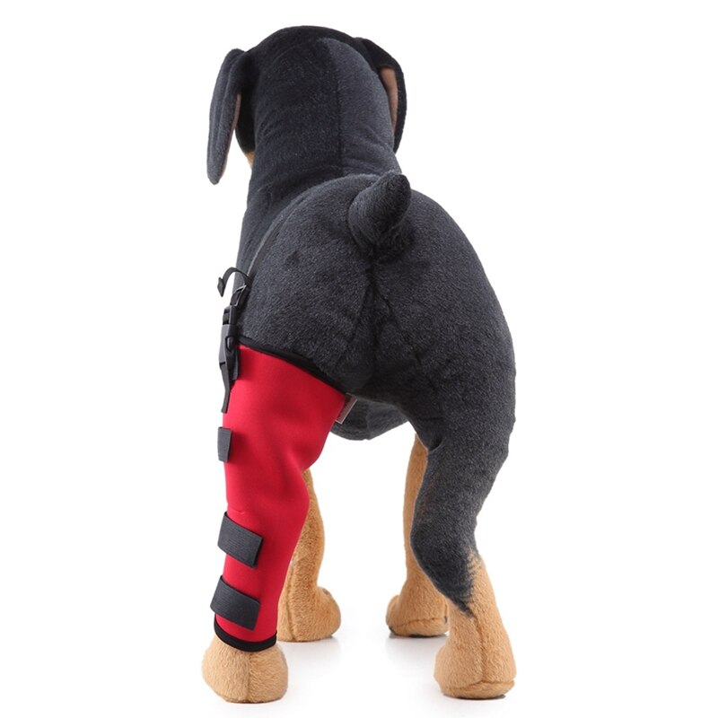 Hond Been Brace Rechts Links Been Knie Spronggewri... – Vicedeal