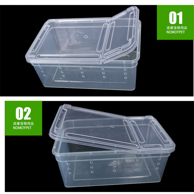 5pcs Reptile Feeding Box Transparent Plastic Box R... – Grandado