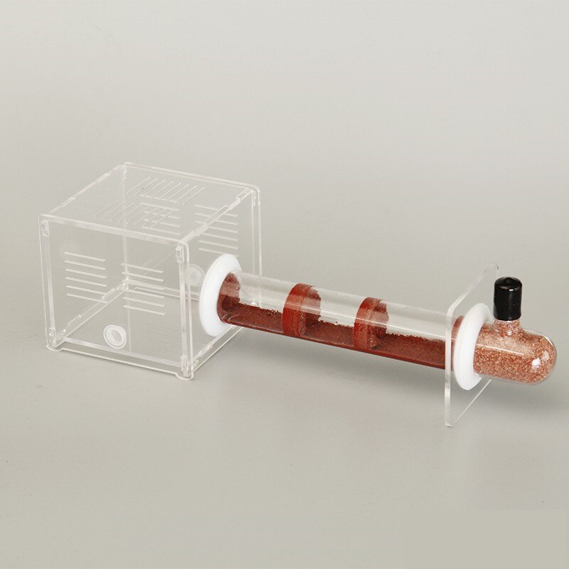Bamboo Nest Pet Ant Test Tube Nest Concrete Ant Ne... – Vicedeal