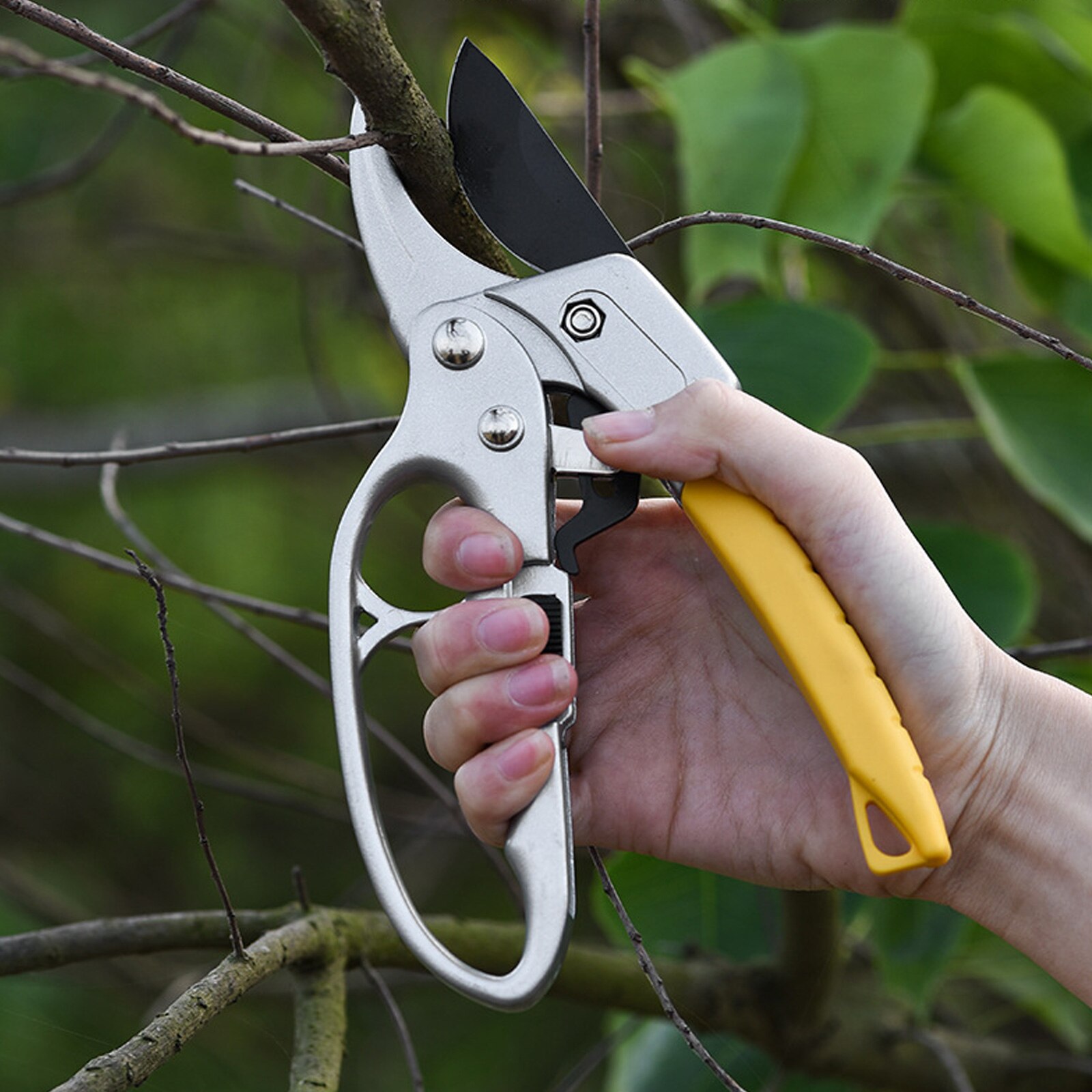 ANENG Pruning Shears Effortless Ratchet Tree Branc... – Grandado