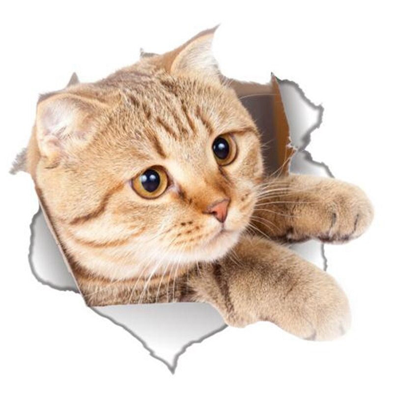 -Waterproof Toilet Stickers Cute Cat Stickers Remo... – Grandado