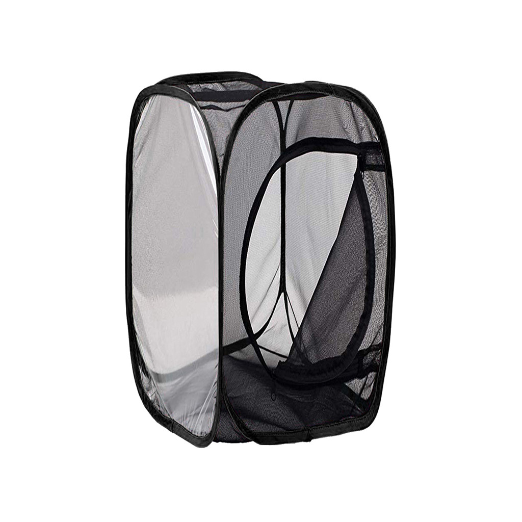 Portable Collapsible Insect and Butterfly Habitat ... – Grandado