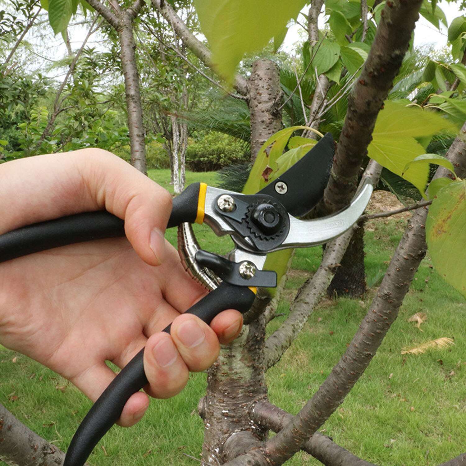 Behokic Heavy Duty Garden Hand Pruner Pruning Shea... – Grandado