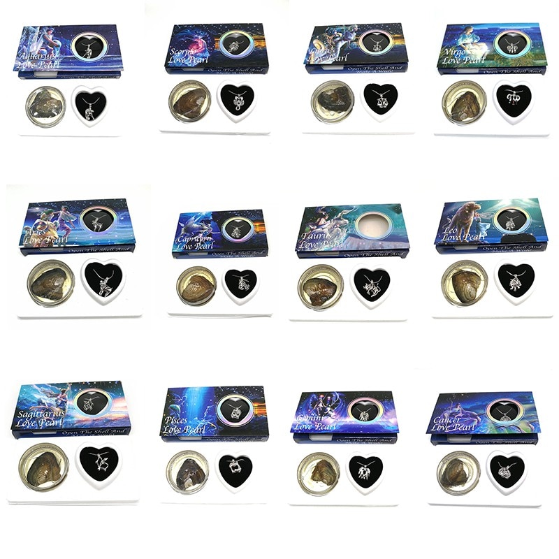 VIP "12 Zodiac" Necklace – Vicedeal