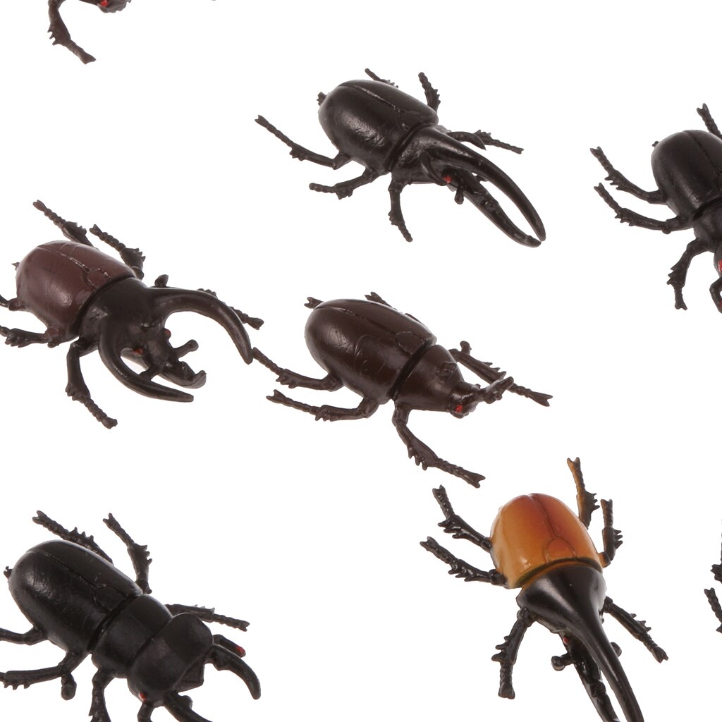 10pcs Realistic Beetles Beetles Insect Figure Anim... – Vicedeal