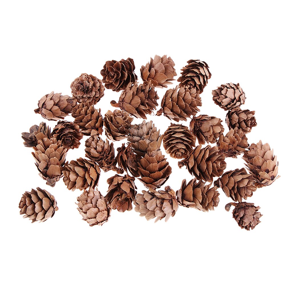 30 Pcs/ Lot Mini Decorative Pinecone Pine Cones Fa... – Grandado