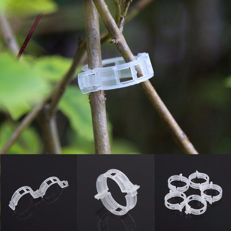 Plastic Plant Support Clips 30/50Pcs Vine Trellis Tomato Stem Vegetable ...