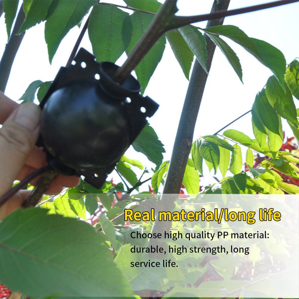 Blossom Plant Rooting Device Assisted Cutting Root... – Grandado