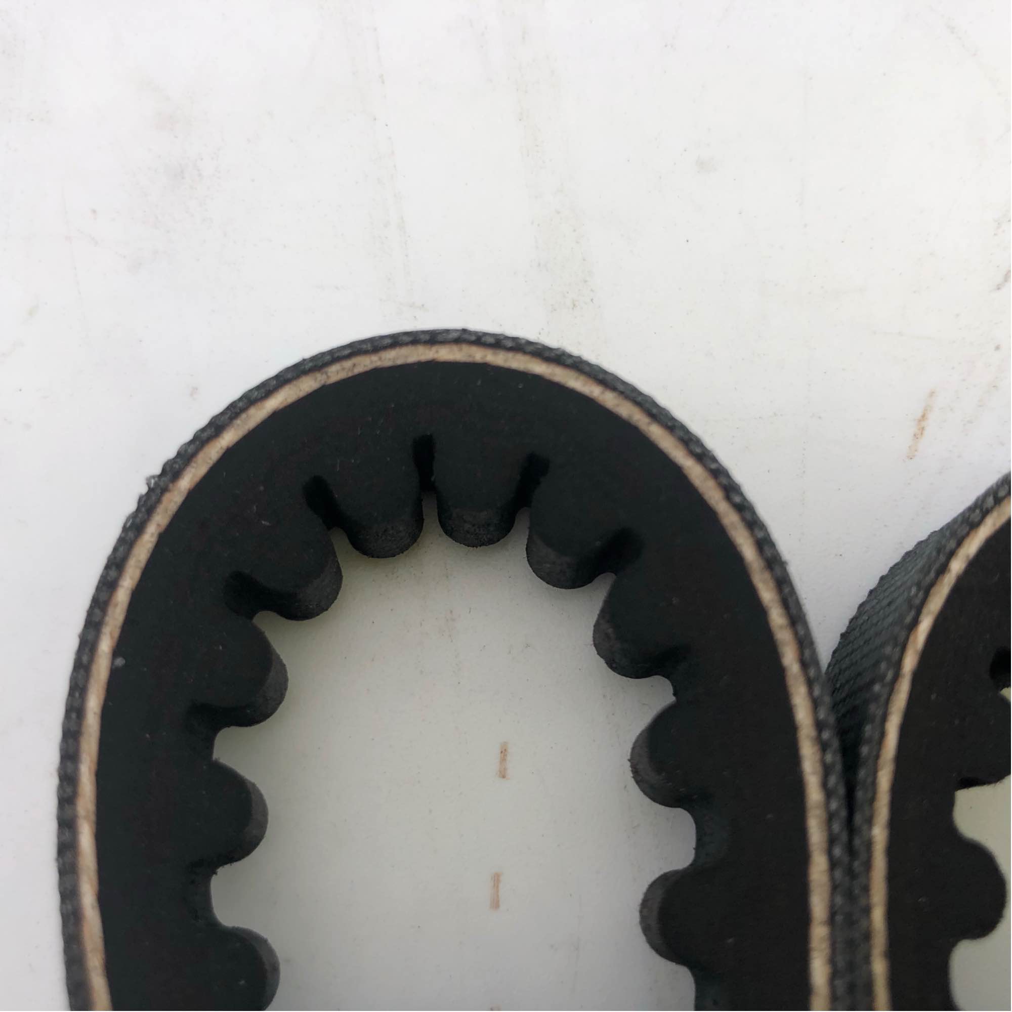 Drive Belt V-Belt 13A1065 suits Ford LTS LTS 9000 ... – Vicedeal