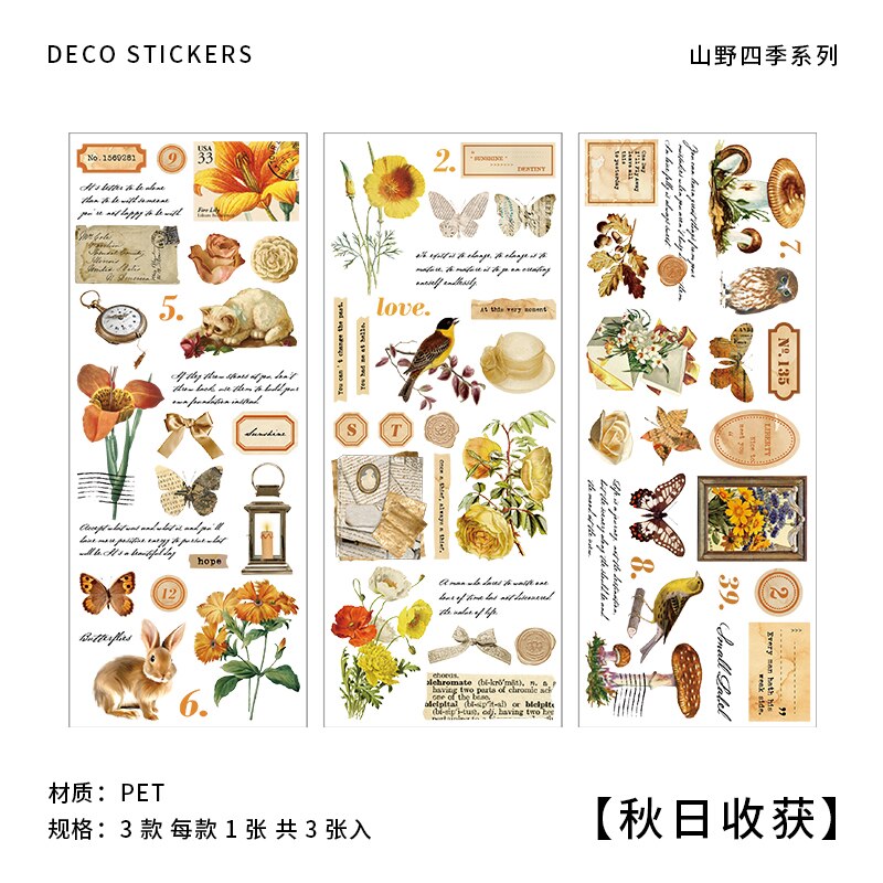 Journamm 3pcs/pack PET Craft Stickers DIY Scrapboo... – Vicedeal