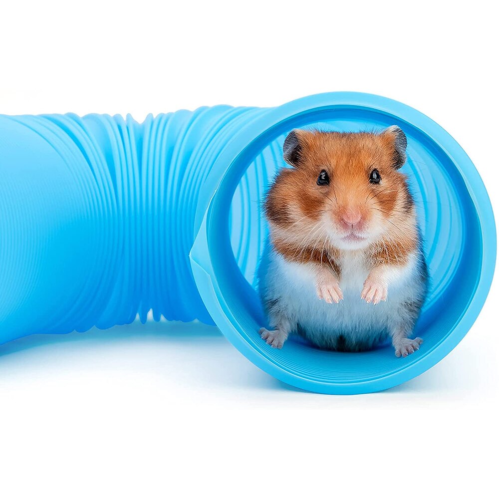 Hamster Fun Tunnel 100Cm Kleine Dier Play Tunnel I... – Grandado