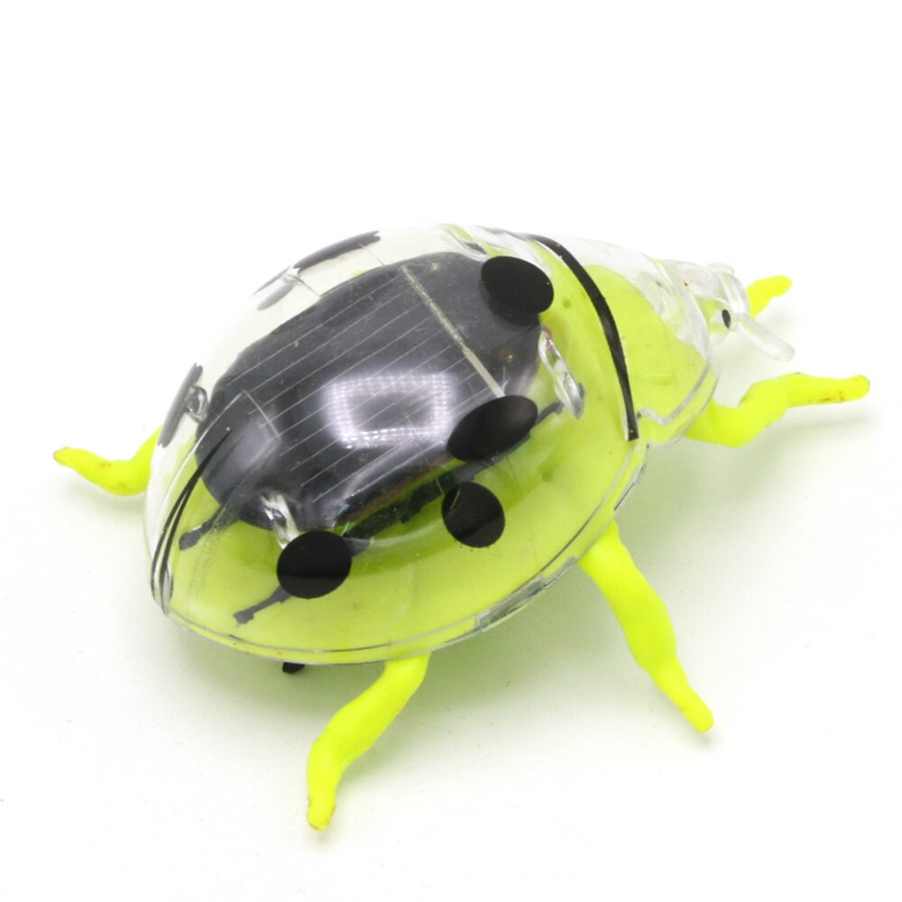 Solar Ladybug Cute Ladybug Science Educational Toy... – Grandado