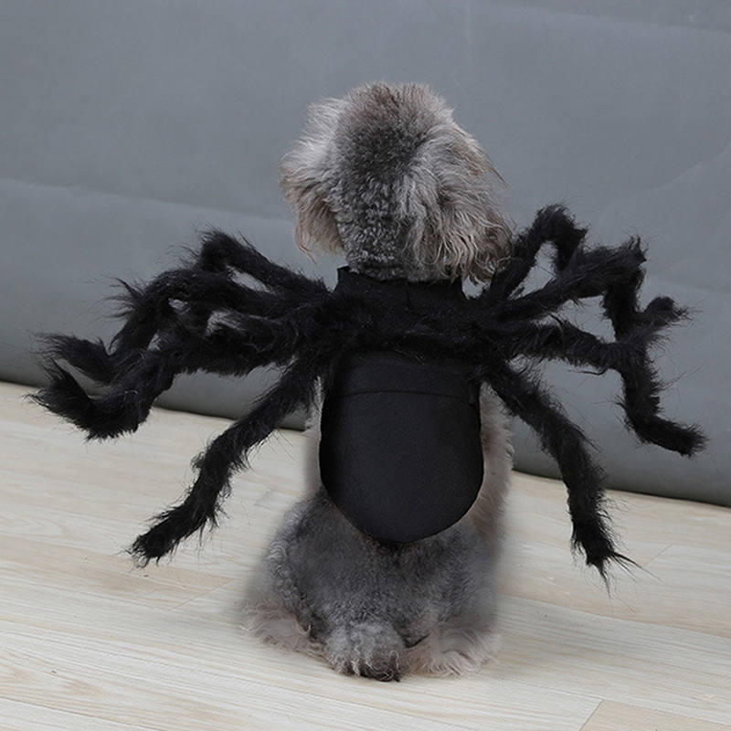 Spider Clothes For Pet Dog Cat Spider Costumes Dre... – Grandado