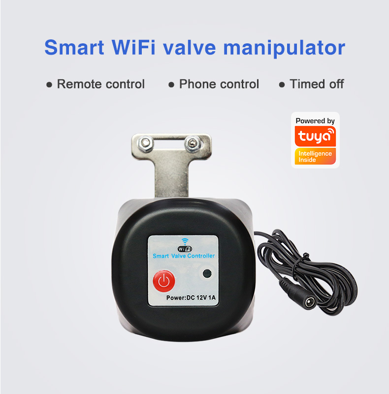 Tuya Wifi Zigbee Smart Gas/Valve Tuya Klep Smart H... – Grandado