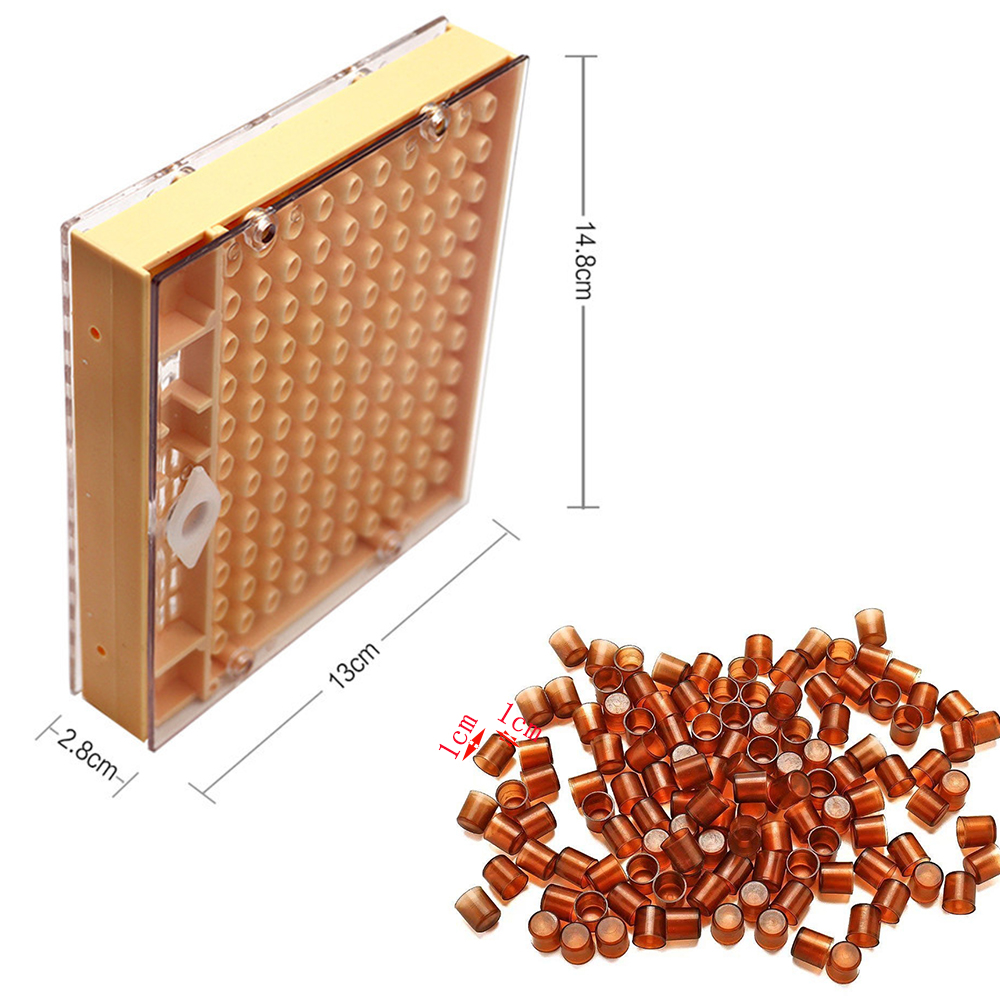 Beekeeping Queen Rearing Cell Cup Kit Equipment Ap... – Grandado